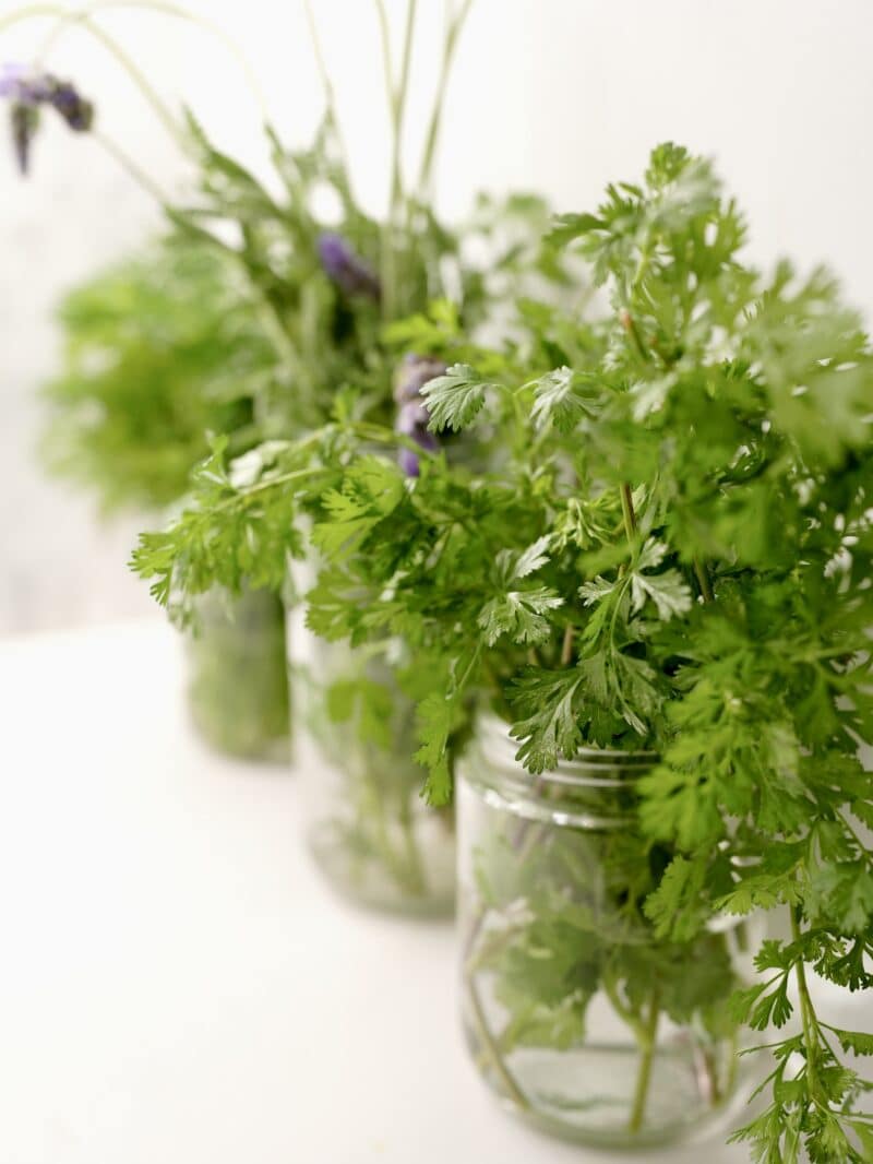 The Prettiest Way to Store Fresh Herbs on Your Kitchen Counter – Among ...