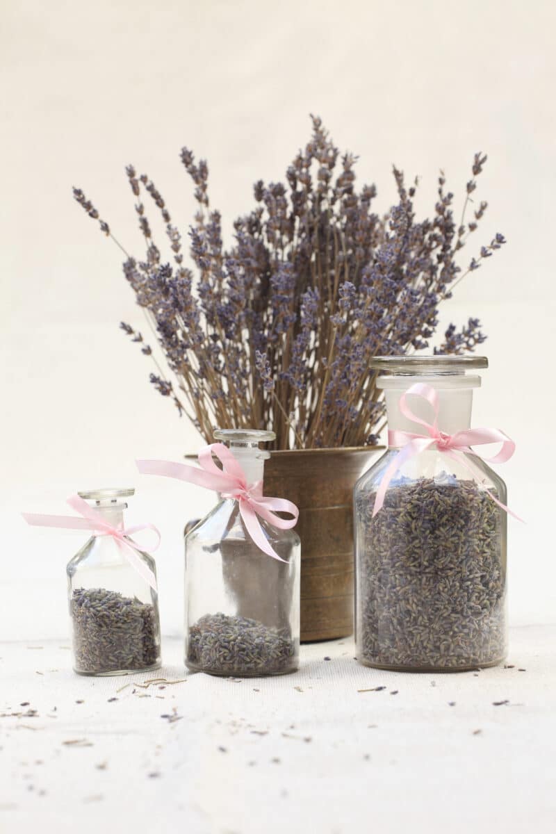 How to Dry Fresh Lavender: Easy Methods for Preserving Your Harvest ...
